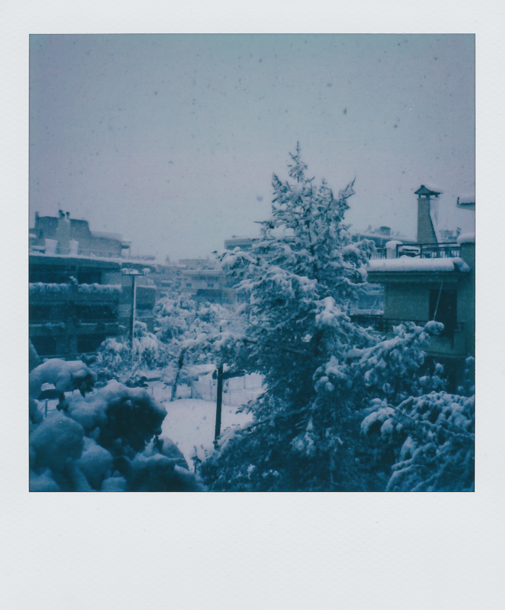 Polaroid Diaries: From spring to winter in 48 hours (SX-70)