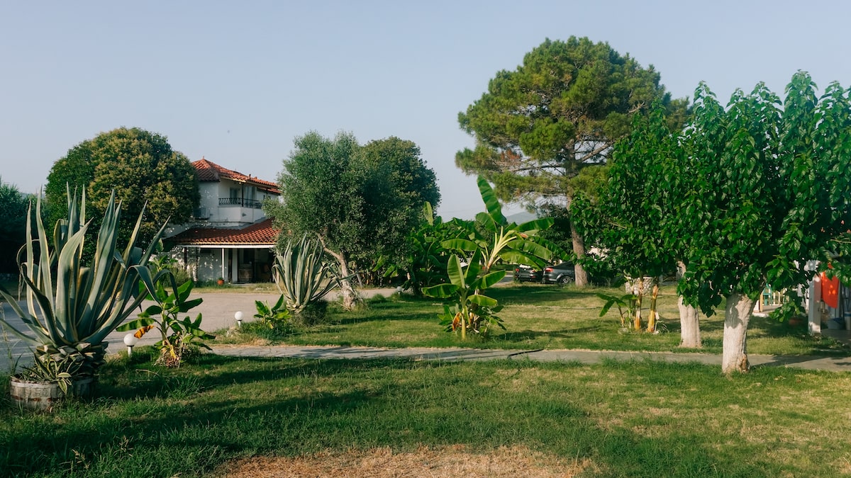 From Zacharo to Kaiafas Lake: Travel guide & photos - Letters to Barbara